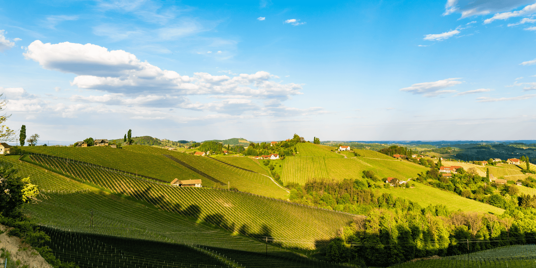 HK Wines and Spirits delivery at wholesale prices – Galilea Limited